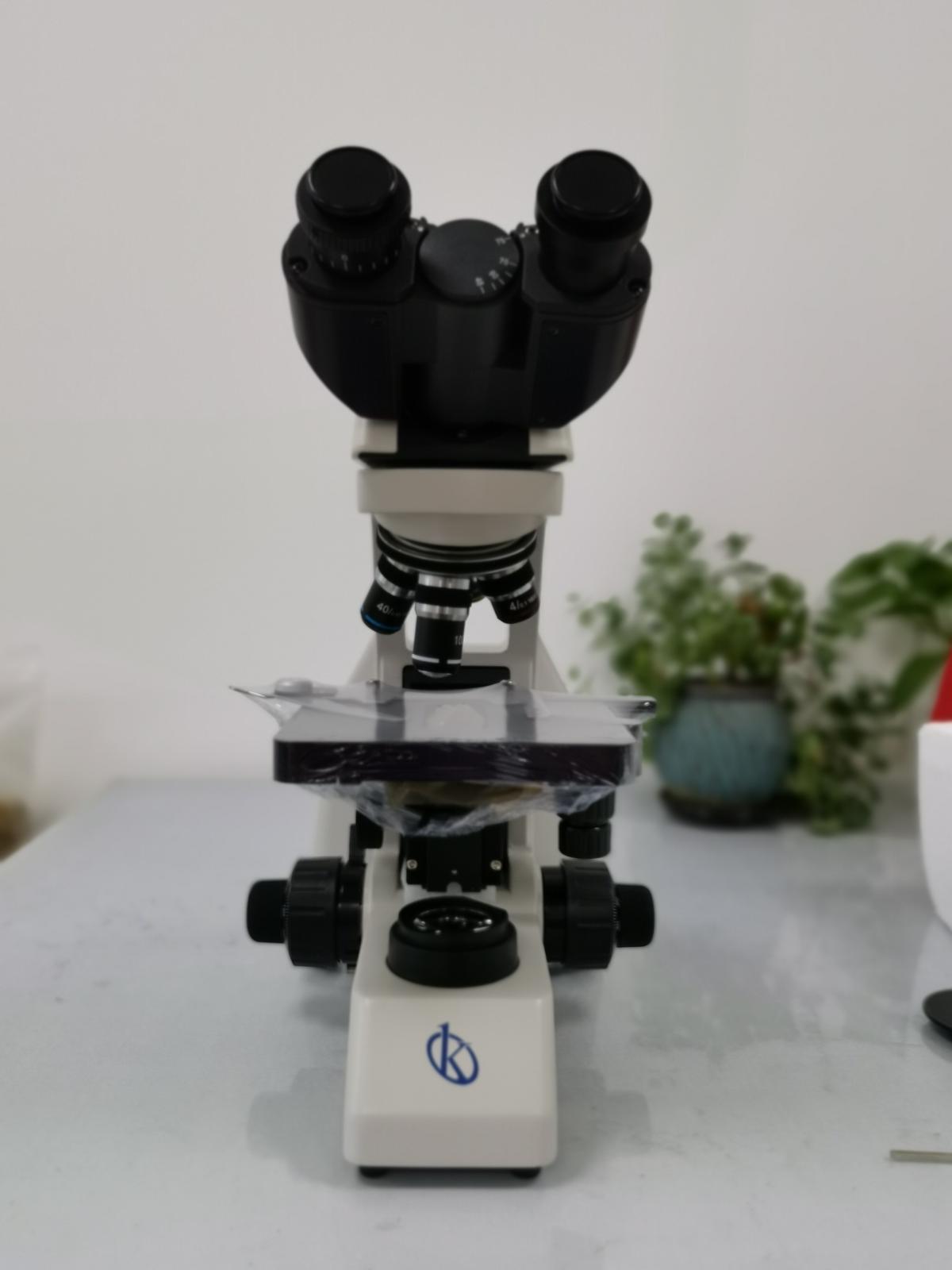 Mikroskop - Kalstein