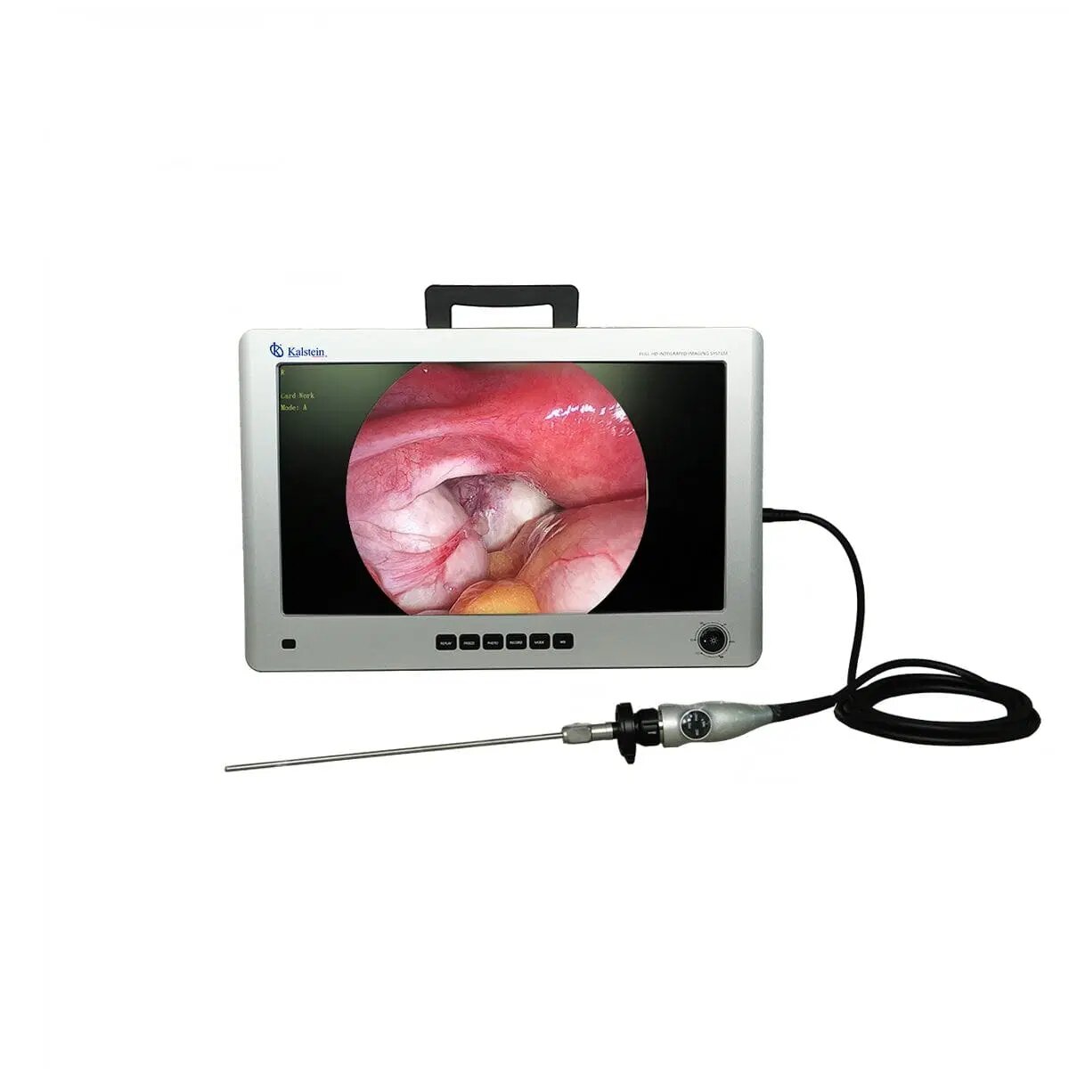 Veterinary Laparoscopy System: For minimal invasive diagnosis - Kalstein