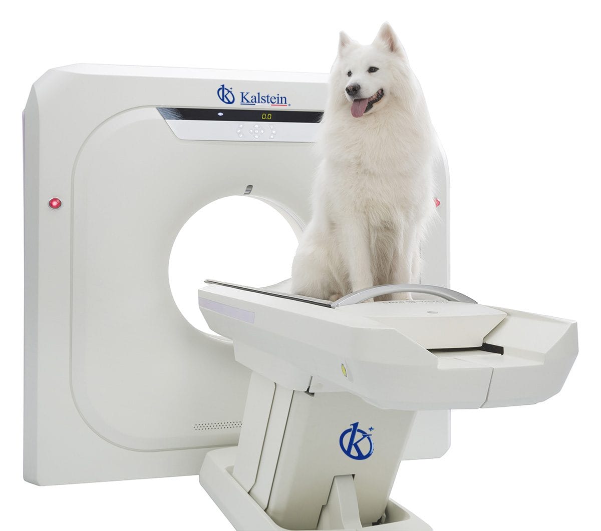Veterinary CT Scanner: A Revolution in Diagnosis and Treatment of Pets ...